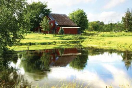 Principles of Good Farming – Grit | Rural American Know-How